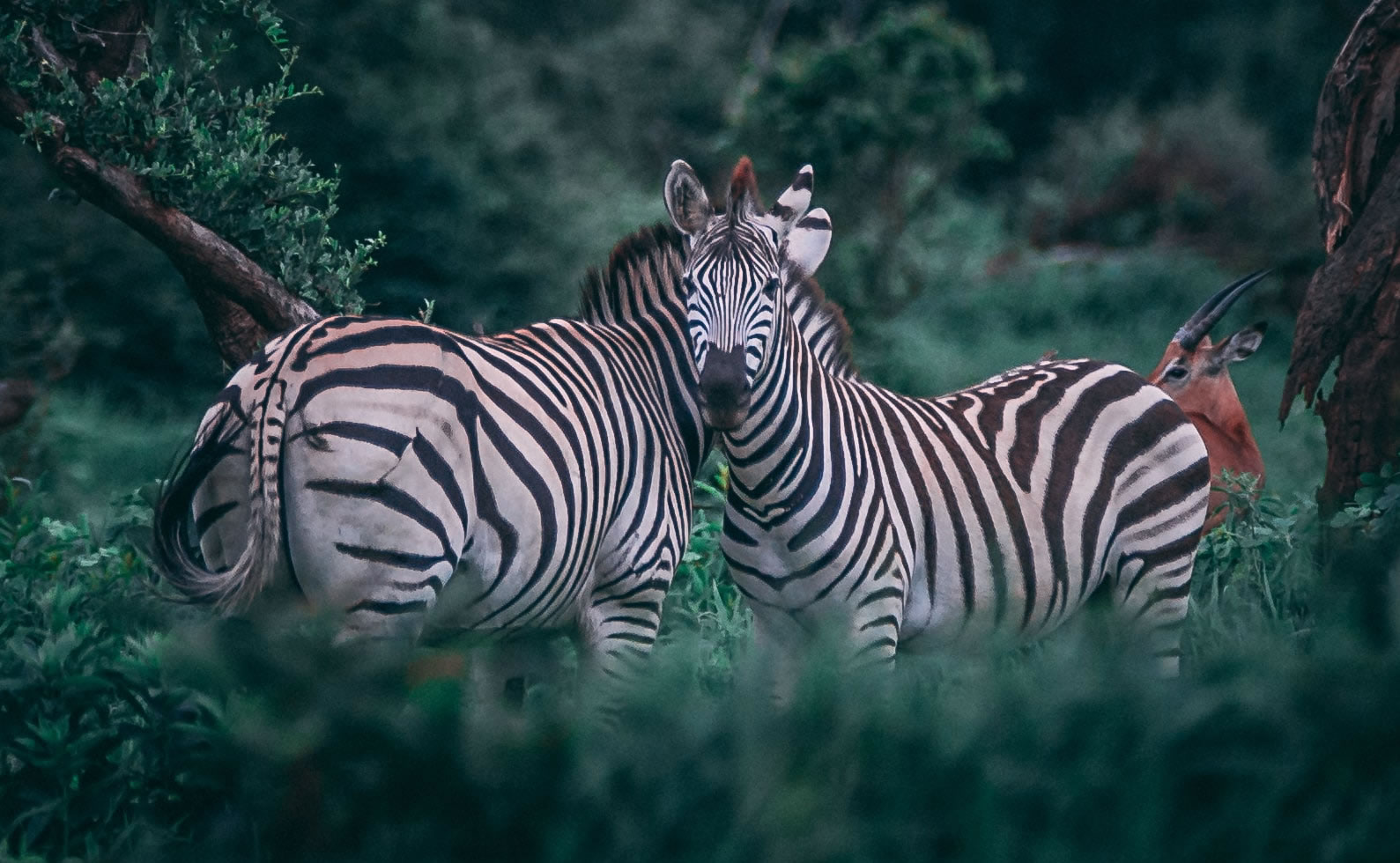 Live More Happy | Stress